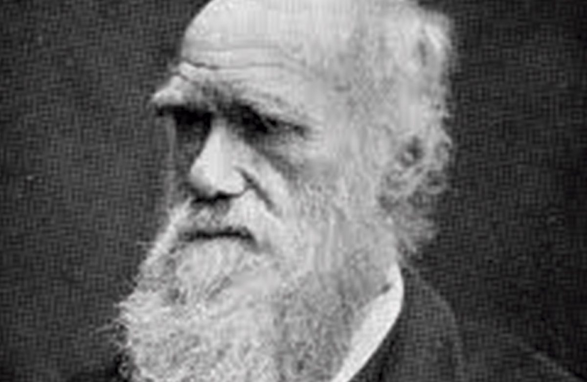 Biografia De Charles Darwin Charles Darwin: Biografía De Este Famoso
